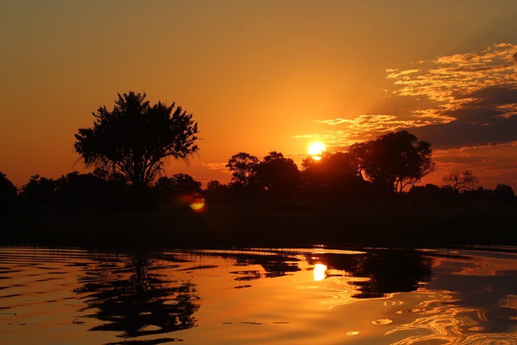 Tremhost Announces New Affordable Web Hosting Plans for Botswana ...