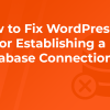 How to fix error establishing a database connection - Tremhost News