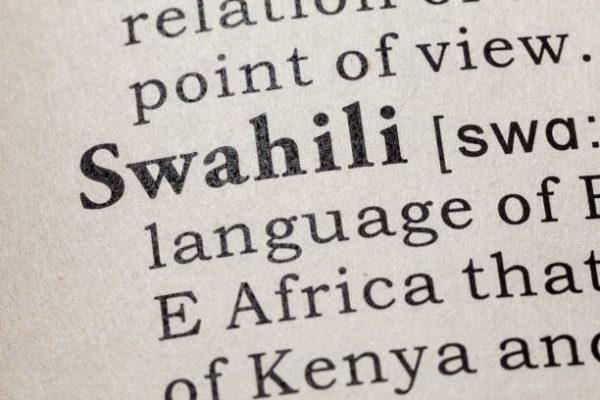 25 Basic Swahili Phrases for Beginners (Language Guide) - Tremhost News