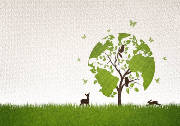 The Great Rewilding: Why Urban Millennials Are Moving Off-Grid in 2025 - Tremhost News